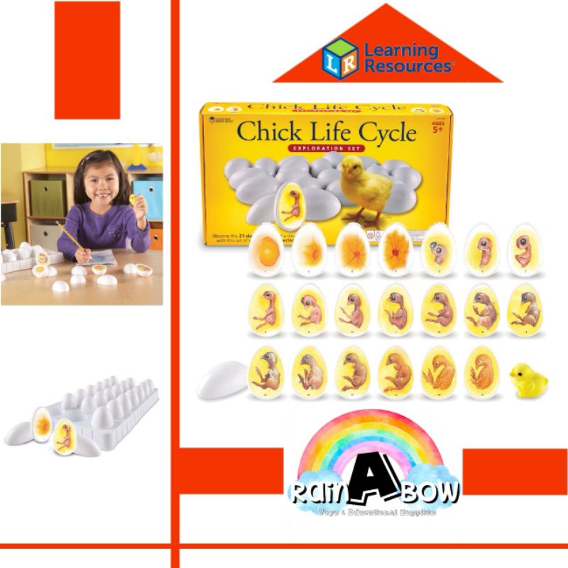 🛒 Learning Resources Chick Life Cycle Exploration Set Eggs Egg Easter ...