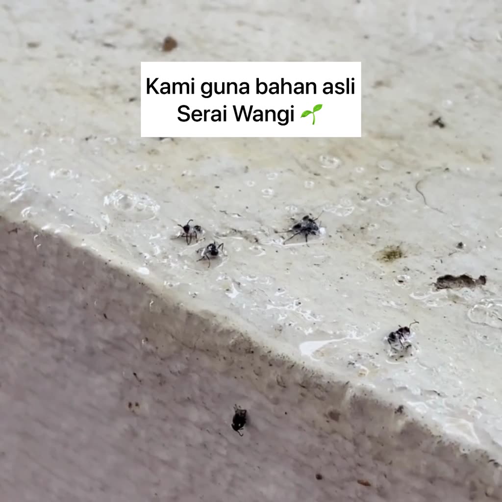 ESONA Rapid Clean Serai Wangi Surface Cleaner 桌面去除剂 (500ml) | Shopee ...