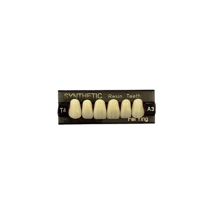1 strip Of SYNTHETIC YP SYNTHETIC Front Anterior Dentures | Artificial ...