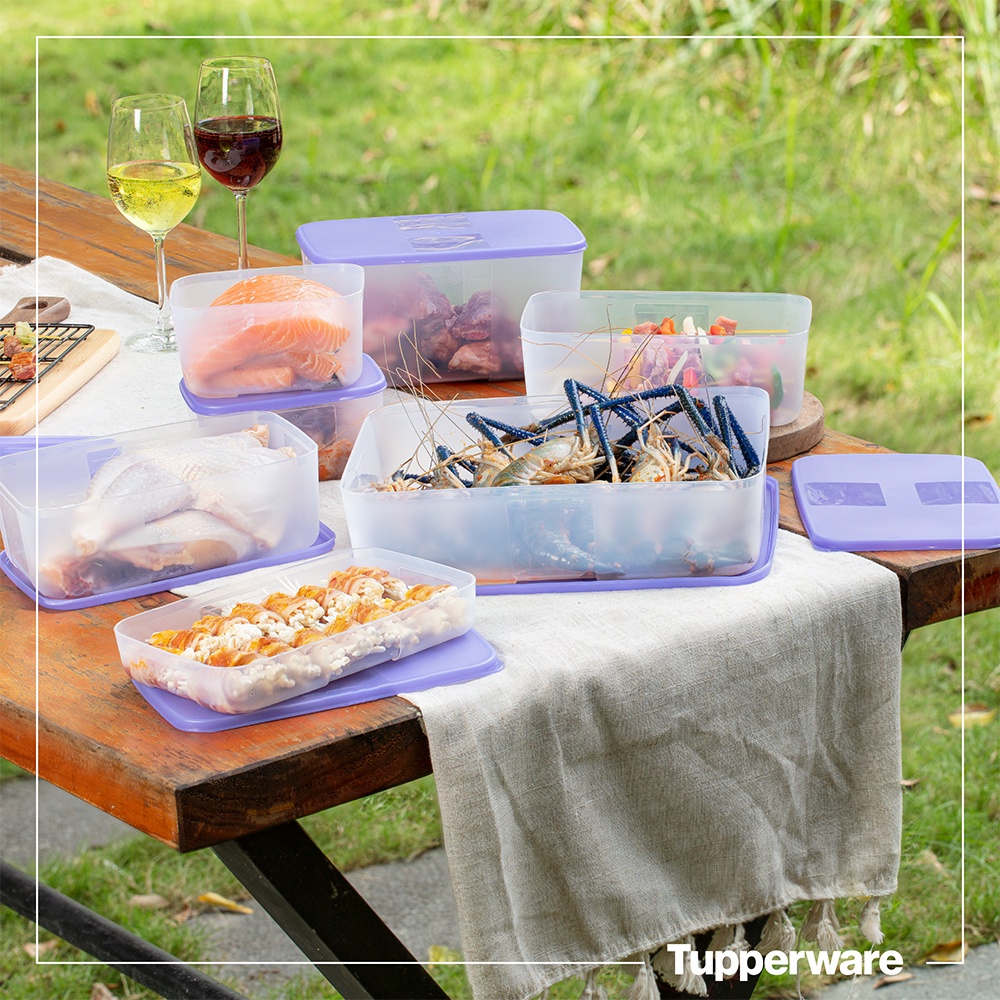 Freezermate Essential Set 7 GENUINE TUPPERWARE freezer box Set | Shopee ...