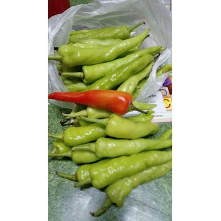 LADA SOLOK/ CILI KELANTAN ( buat solok lada@cili jeruk ) | Shopee Malaysia