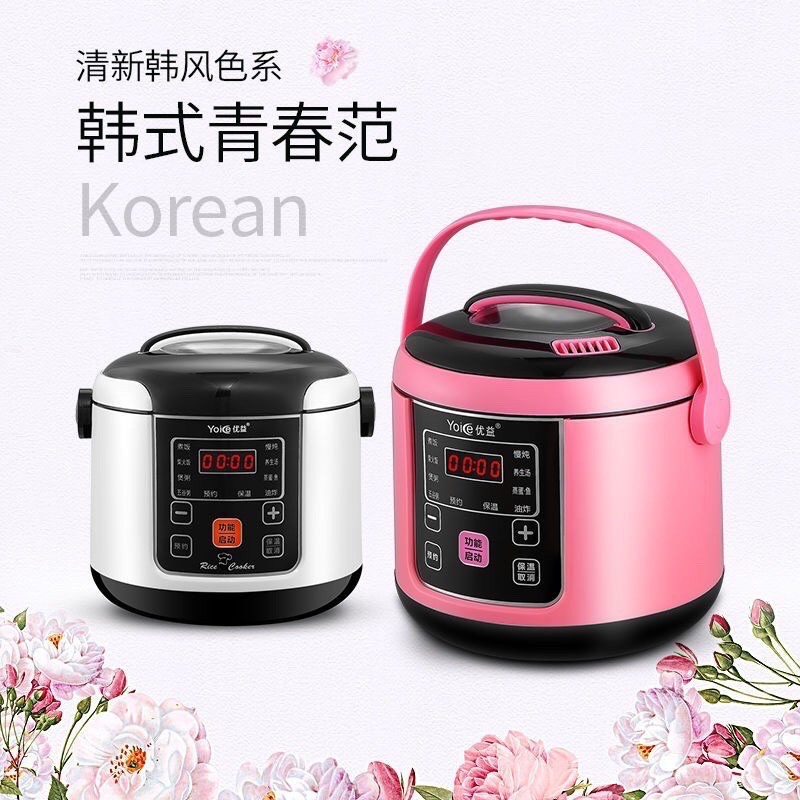 Multifunction Electric Rice Cooker Soup Porridge Stew 2L ( 10 functions ...