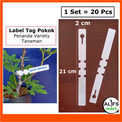 Penanda Pokok Label (set 20pcs) Plant Tag Loop Lock Pokok Tin | Shopee ...