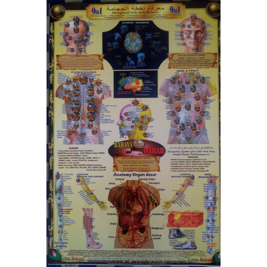 Poster Titik Bekam 9in1 | Poster Bekam | Shopee Malaysia