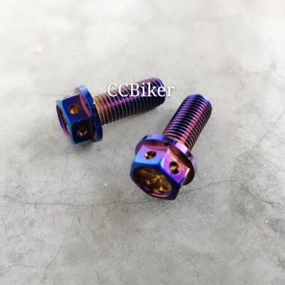 Yamaha / Honda Front Caliper Screw Bolt 25mm (Titanium 2pcs) | Shopee ...