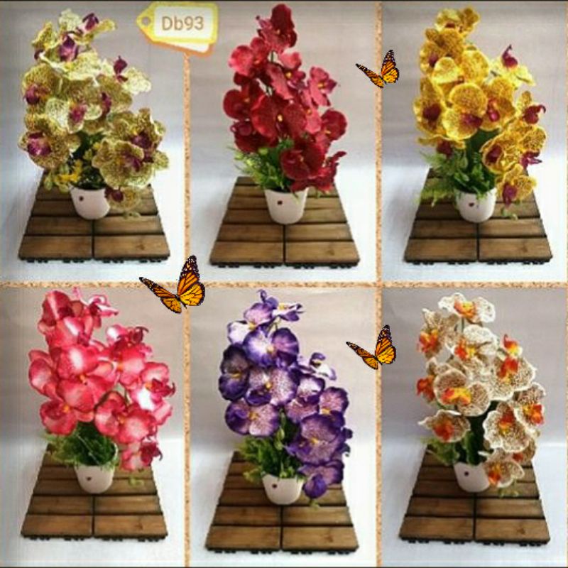 Bunga orkid bintik baru siap gubah pasu +🎁09 | Shopee Malaysia