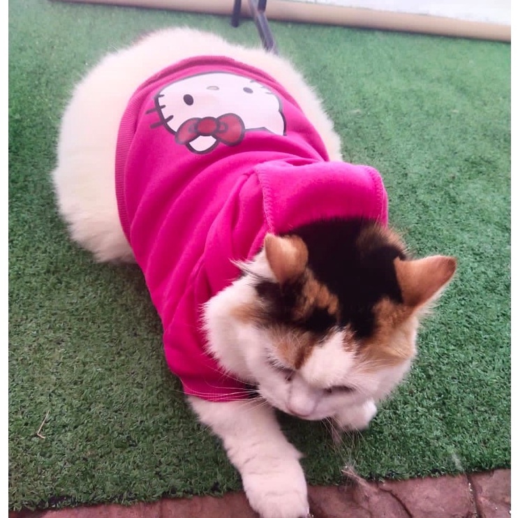 2022 Cute Pet Cat Princess Dress Ready Stock Malaysia Baju Kucing Girl ...