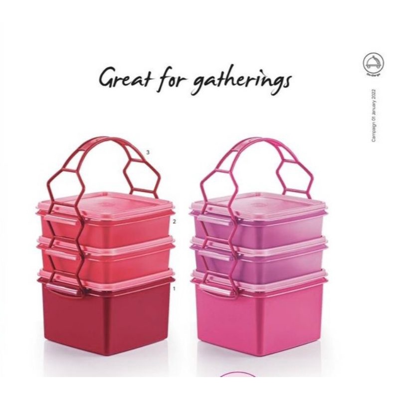 Mangkuk Tingkat Tupperware Triffin Delight Set with Cariolier / Double ...