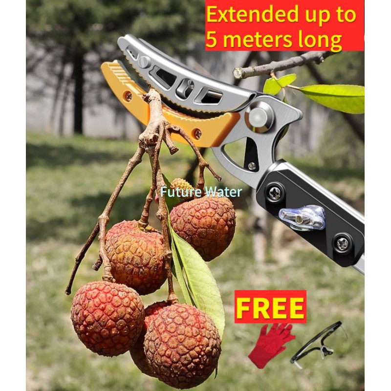 Rambutan Picker Pruner Cutter Shear Extended to 3m / 4m / 5 meters ...