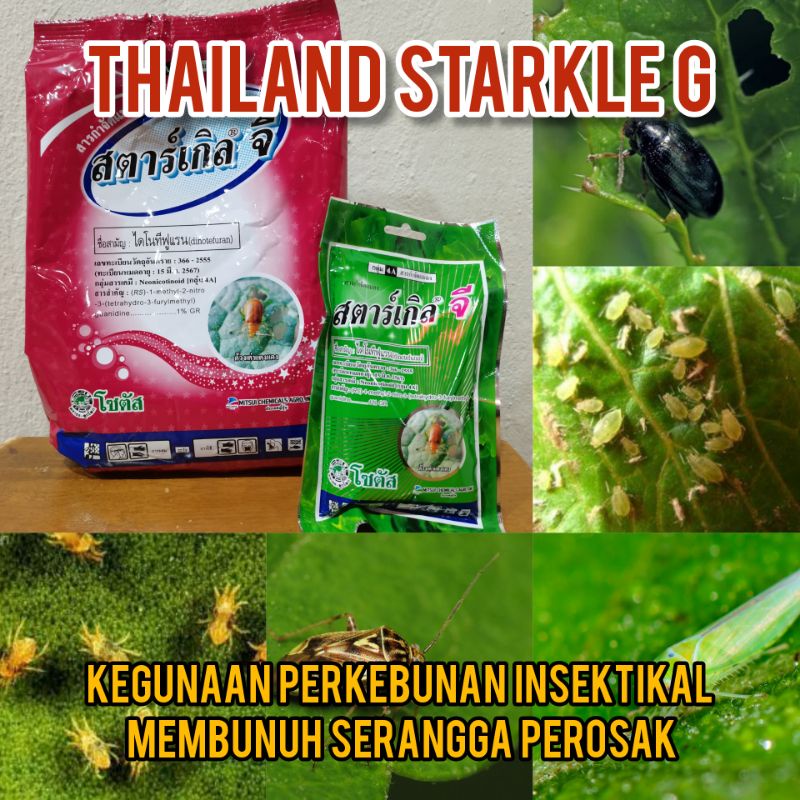 shop7.7 - Racun Serangga Thailand Starkle G Insecticide | Shopee Malaysia