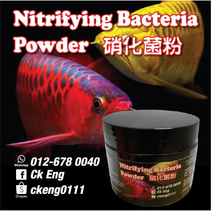 nitrifying bacteria powder硝化菌粉 | Shopee Malaysia