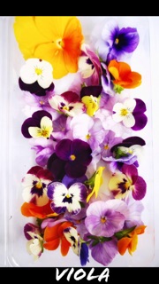Fresh Edible Flower - Spring Medley mix, Viola, Dianthus | Shopee Malaysia