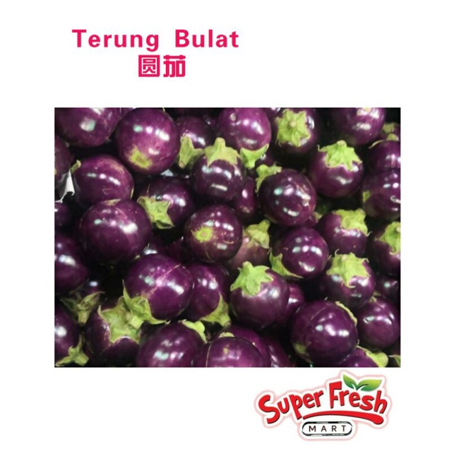 Terung Bulat 圆茄 (300g) | Shopee Malaysia