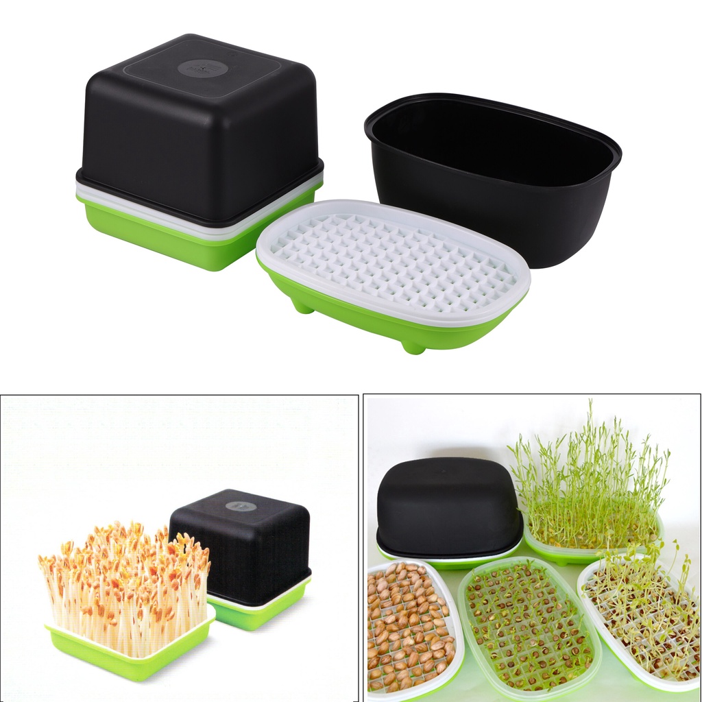 Bean Seeding/Seeding Hydroponics Box Sprouts/Microgreen Tray/Hydroponic ...