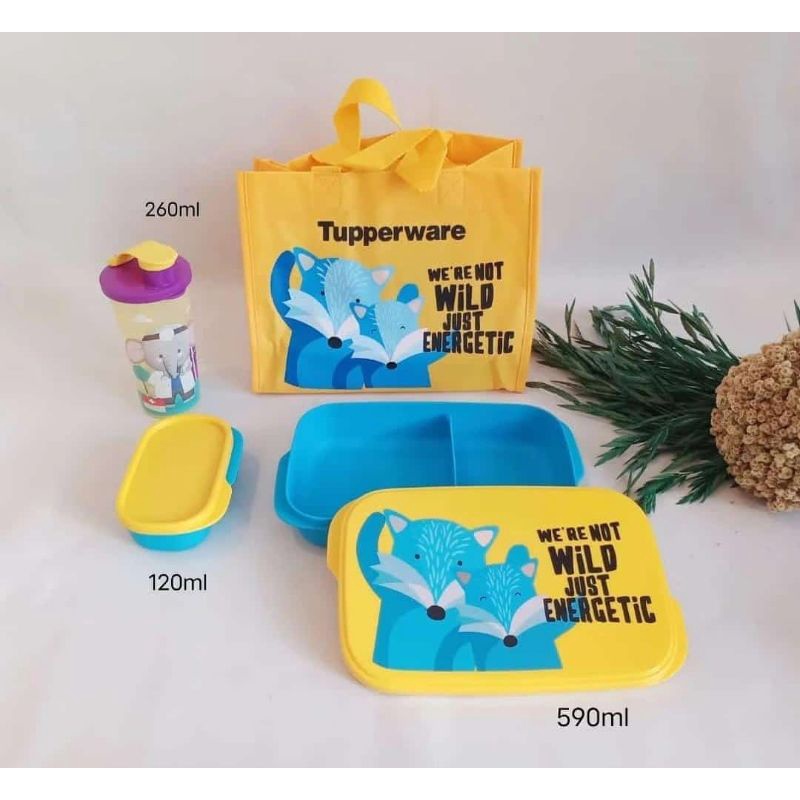 Lunchbox fudie tupperware character image | Shopee Malaysia