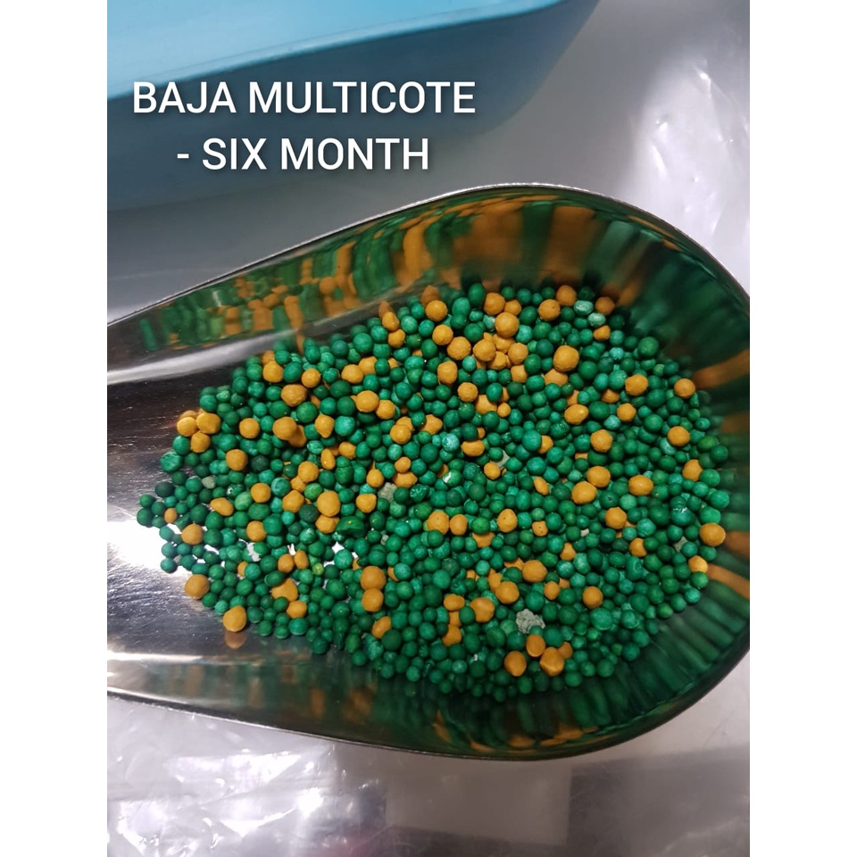BAJA MULTICOTE *Slow release fertilizer- NPK 14+14+14+3MgO+TE (6 MONTH ...