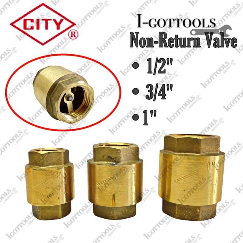 CITY BRASS SPRING NYLON CHECK VALVE NON-RETURN VALVE (1/2" / 3/4" / 1 ...