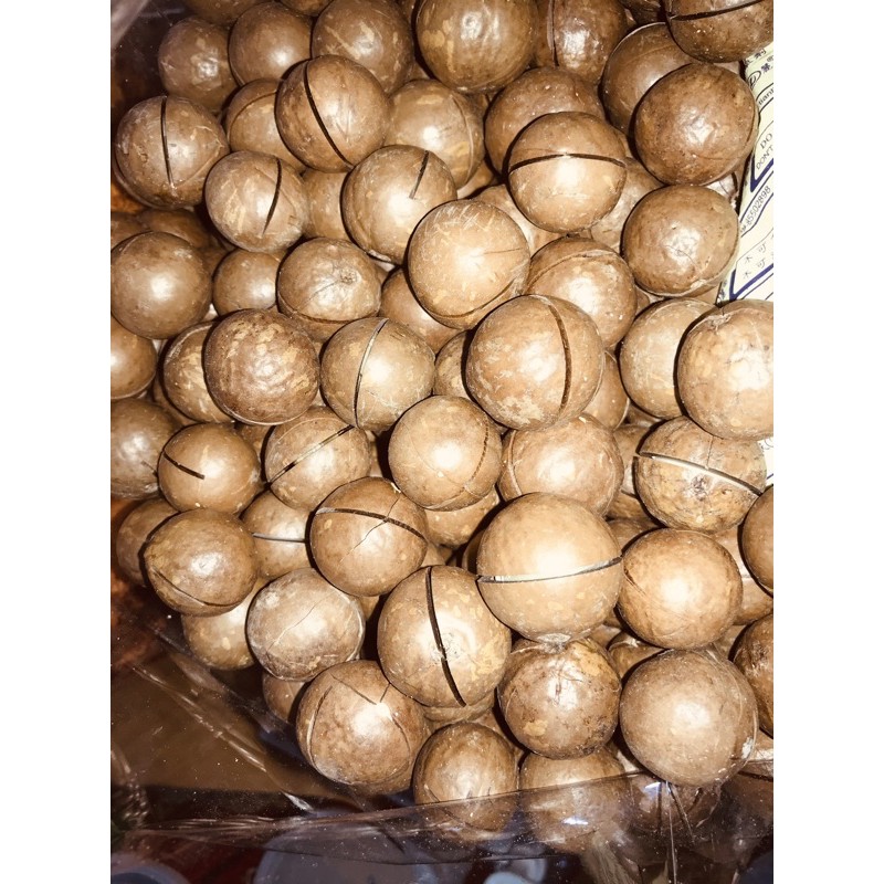 roasted nut macadamia/ Kacang Macadamia [Zip lock / Free Bubble wrap ...