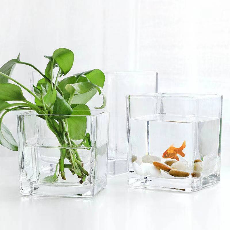 Flower Pot Square Glass Vase Transparent Scindapsus Aureus Hydroponic ...
