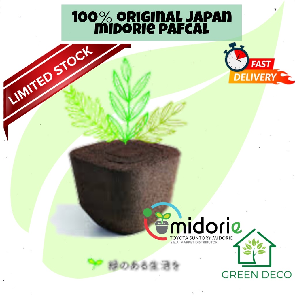 MIDORIE pafcal 100% original Japan organic soil free propagation Span ...