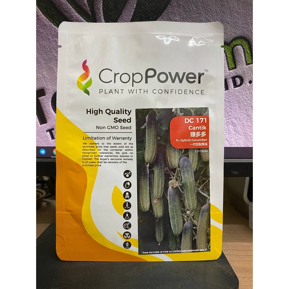 Benih Cucumber Cantik Hibrid F1 DC171 (TIMUN BATANG) CROP POWER (20gm ...