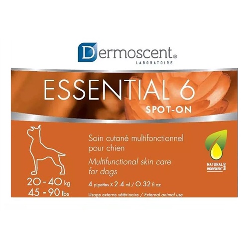 Dermoscent Essential 6 Spot On for Dogs cat Skin Omega supplement ...