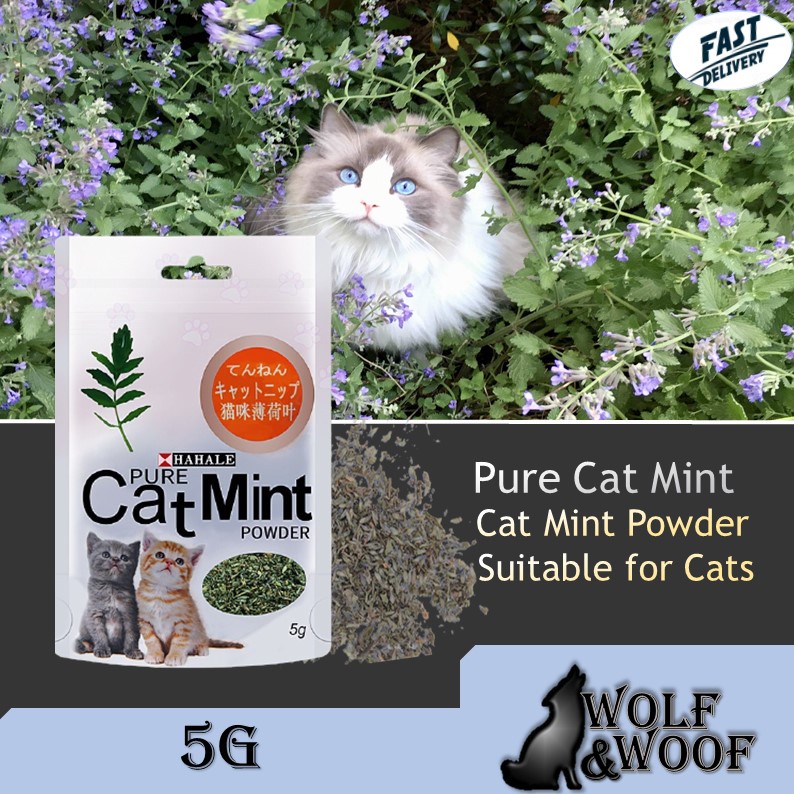 Hahale Pure Cat Mint Powder 5g Catnip Kucing / Catnip / Cat Nip/Semula ...