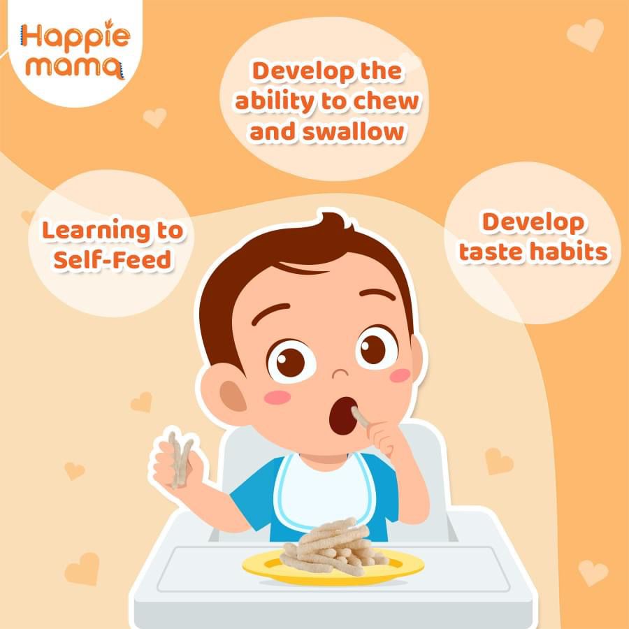 Happiemama Baby Rice Stick Biskut Bayi 9 bulan Combo Sets (2x30g ...