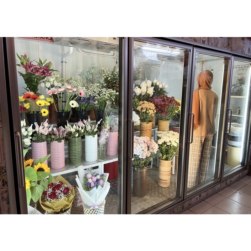 Aesthetic Walk In Display Coldroom Chiller | Shopee Malaysia