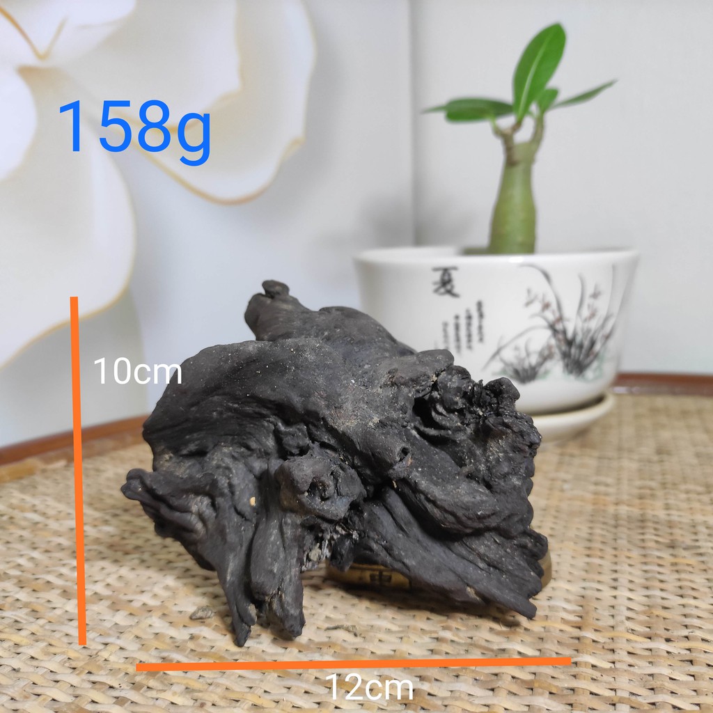 🔥Kayu kemuning hitam Asli 黑金木 158g FREE SHIPPING | Shopee Malaysia