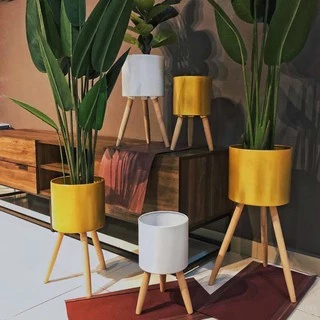 pasu bunga - Prices and Promotions - May 2025 | Shopee Malaysia