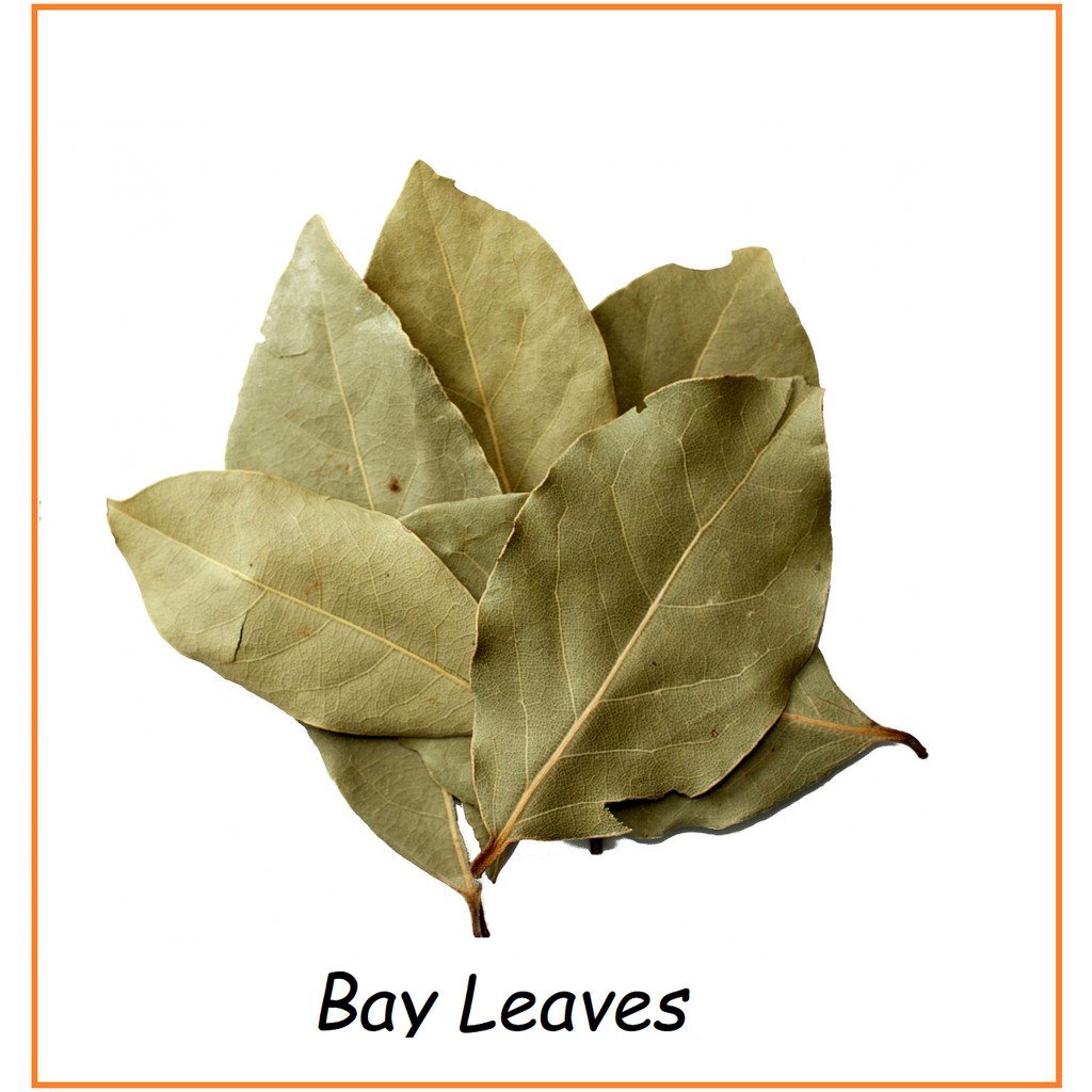 HALAL DRIED BAY LEAF 20G/ DRIED BAY LEAVES 20G / 月桂叶 20G / 香叶 20G / KERING DAUN SALAM 20G Herbs ...