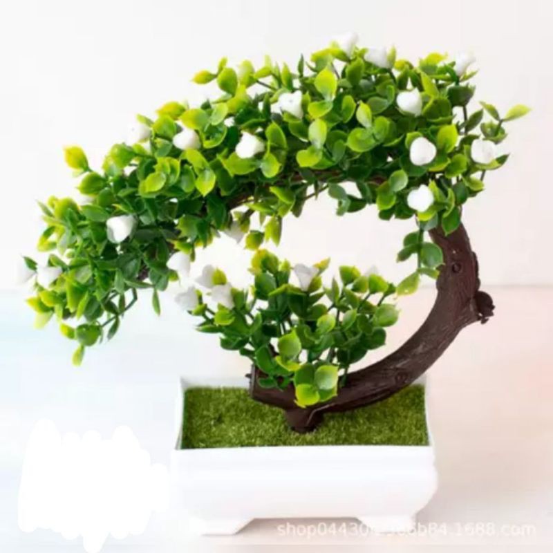 pokok bonsai mini bentuk c bunga kecil | Shopee Malaysia