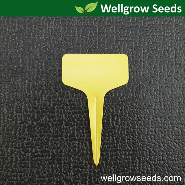 Plant Tag / Seedling Tray Label : SL11 (100pcs) | Shopee Malaysia