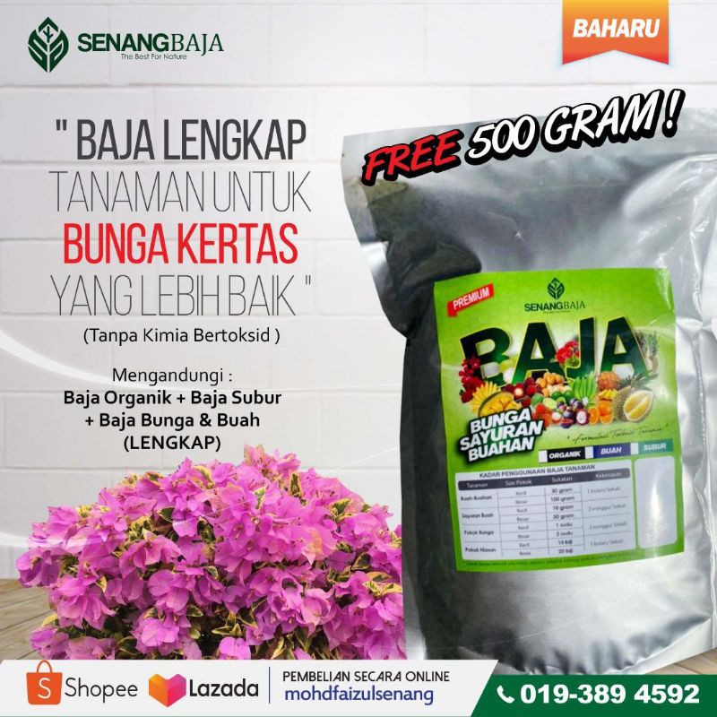 Baja pokok bunga kertas 1.5kg🌟🌟🌟🌟🌟 | Shopee Malaysia