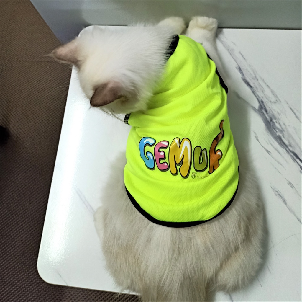 Pet Clothes Baju Anak Kucing Betina Jantan Murah Comel Pakaian Haiwan ...