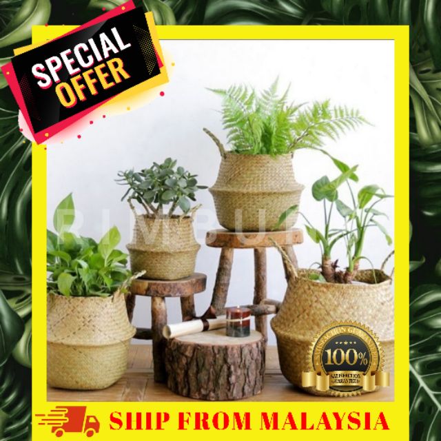 Pasu Bakul Rotan Pokok Viral Seagrass Rattan Basket Nordic Banana ...