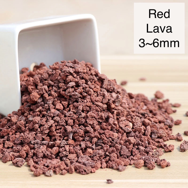 [SHRIMPSLAND] Aquarium 1kg 3~6mm Red Black Lava Rock Pasir Malang ...