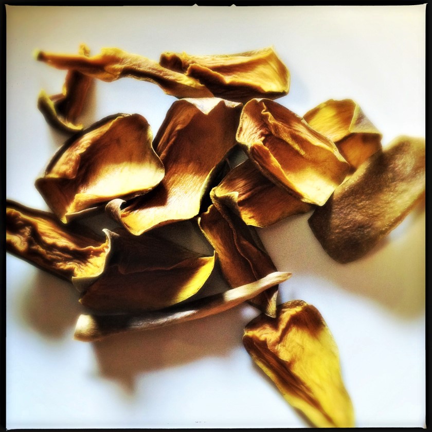 Dry Mango Slice Vathal 100G | Shopee Malaysia