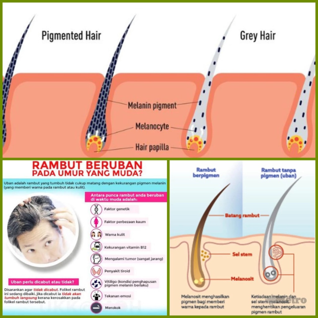 MENOWONE NATURAL HAIR BEAUTY SHAMPOO HAIR COLOR SHAMPOO INAI HENNA ...