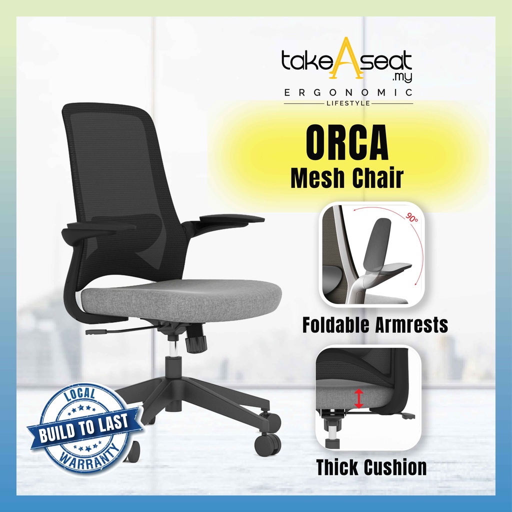 ergoActive ★ ORCA Ergonomic Office Chair ★ Minimalist Designer Chair ...
