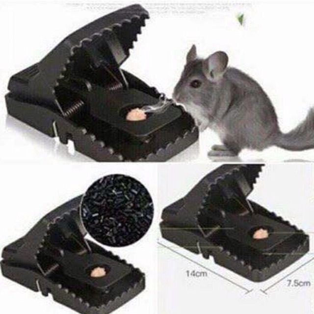 Smart BLACK MOUSE TRAP Clamp | Shopee Malaysia