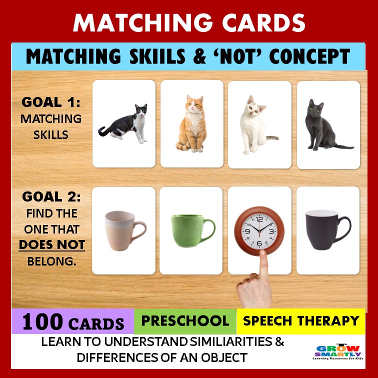 Identical Matching Flash Card Real Object Early Learning Flash Card ...