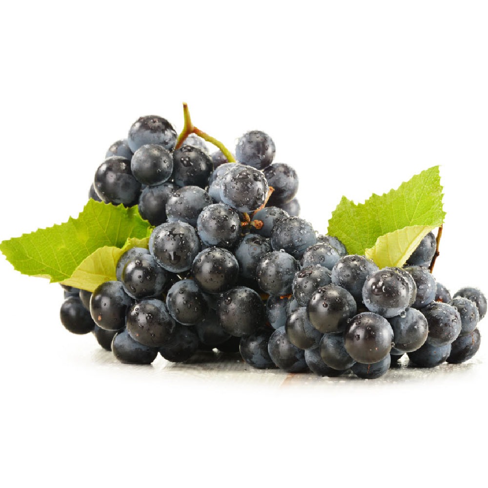 Baja 3 IN 1 Pokok Anggur READY STOCK SB Pack Jimat Organik + Subur ...