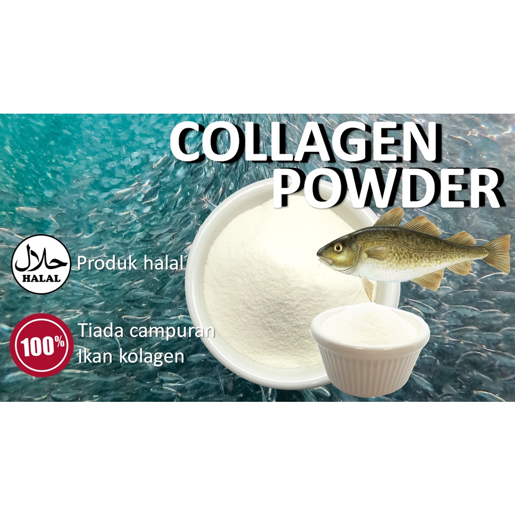 Serbuk Hidrolisis Kolagen Ikan/Pure Hydrolyzed Fish Collagen Powder ...