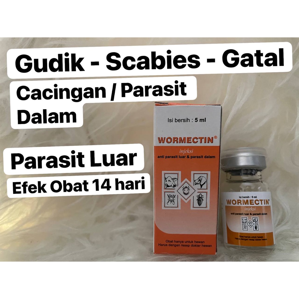 Wormectin Medicine for Rabbits, Scabies, Rabbits, Itchy Animals, Worms ...