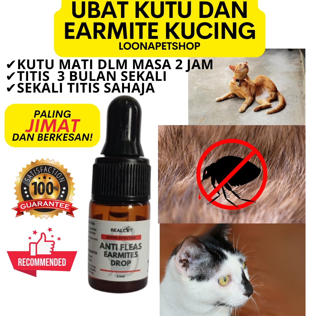 Ubat Kutu Kucing Ubat Kutu Kucing Paling Berkesan Earmite Drop Cat Kutu ...