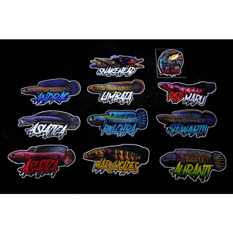 Channa SERIES STICKER | Shopee Malaysia