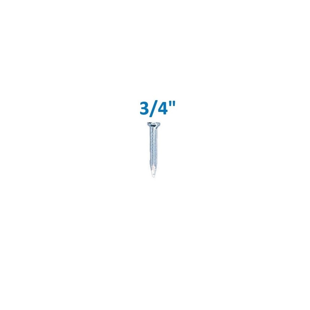 [3/4" - 4"] Concrete Nail / Wall Nail / Paku Simen / Paku Dinding ...