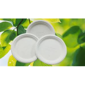 BIO Plate 9-inch 25pcs | Shopee Malaysia